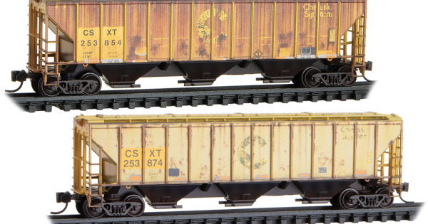 Micro Trains | N Scale - CSX® Weathered 2-Pack